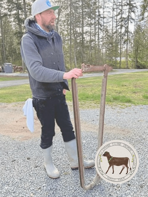 Camano Creamery – From Moo to You