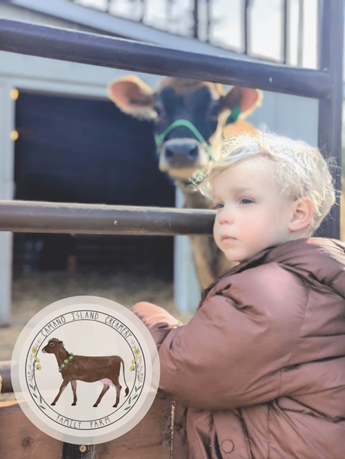 Camano Creamery – From Moo to You