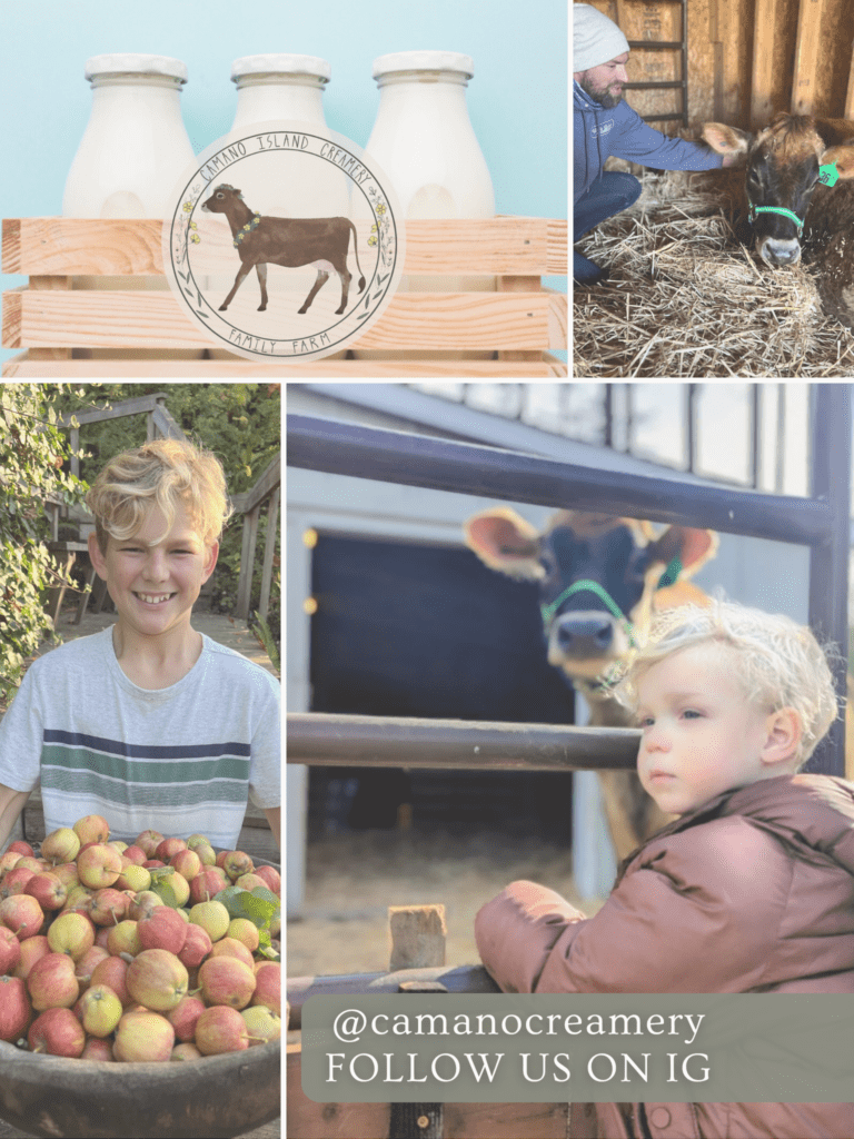 Camano Creamery – From Moo to You
